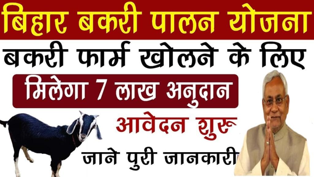 Bihar Bakri Farm Yojana 2025 : बकरी पालन पर सरकार दे रही है ₹7 लाख ...
